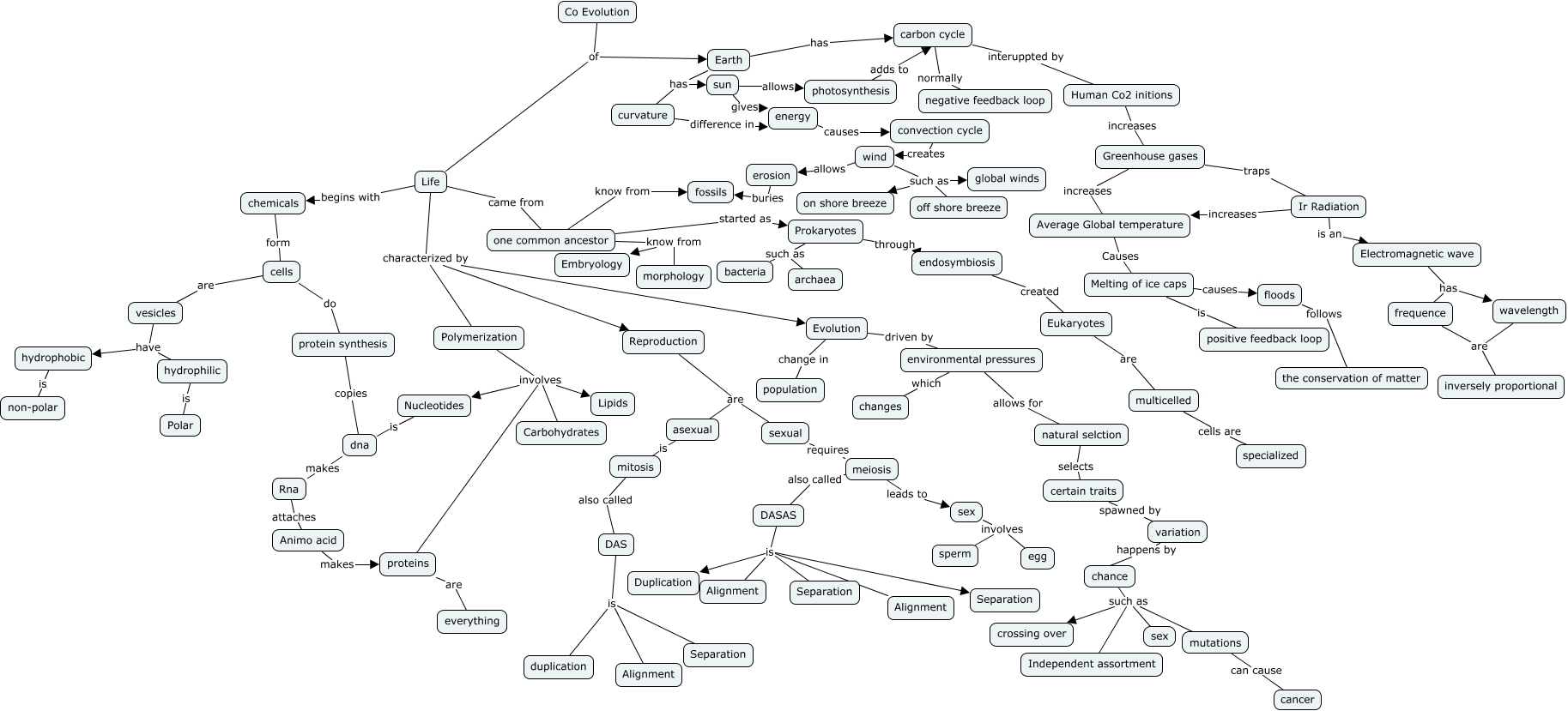 Henry Chen_Period 4_Extra Credit Cmap_Semester 2